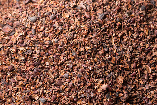 How To Make Cocoa Tea? The Best Recipe To Follow – Asami Tea Shop