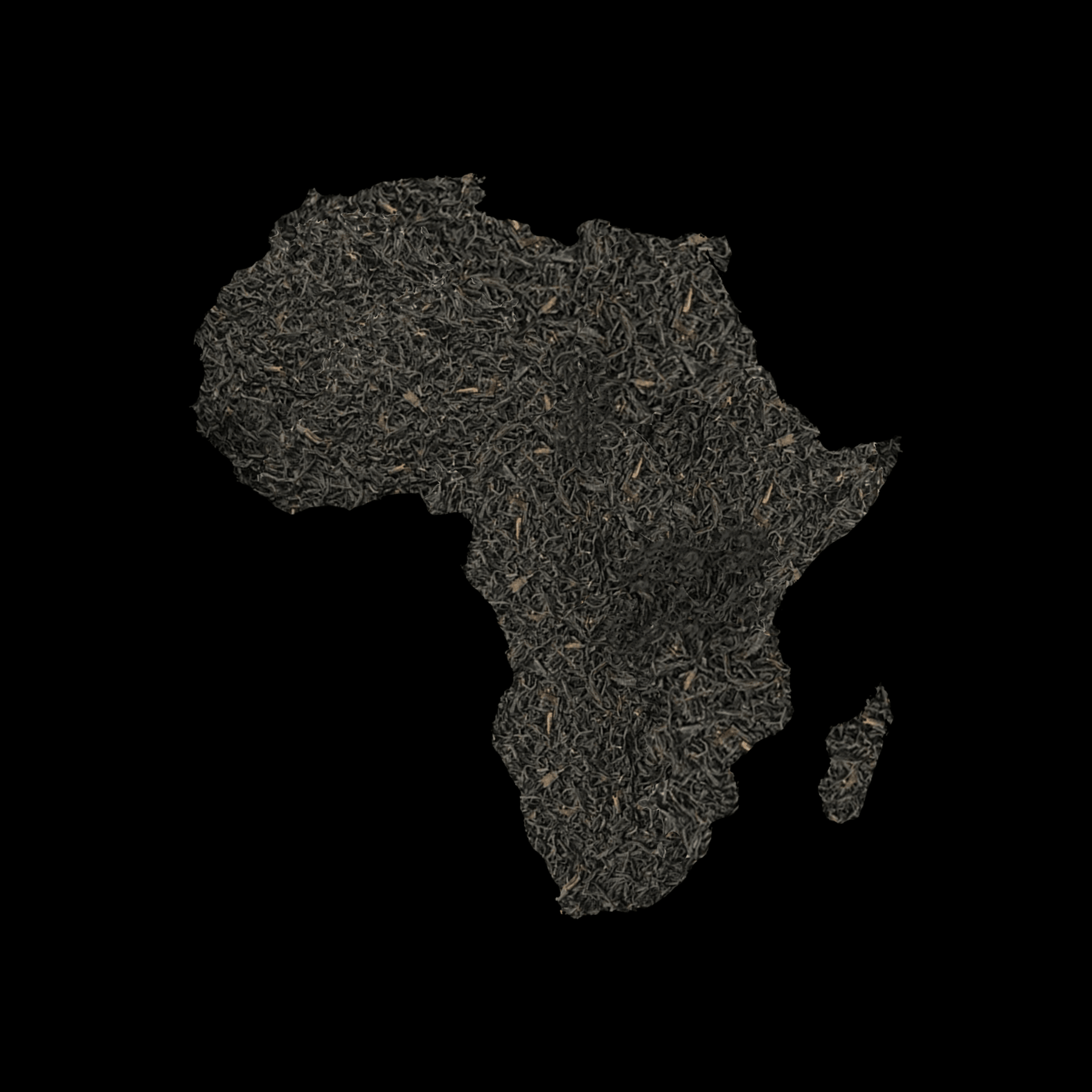 Mozambique Breeze African Tea – Asami Tea Shop